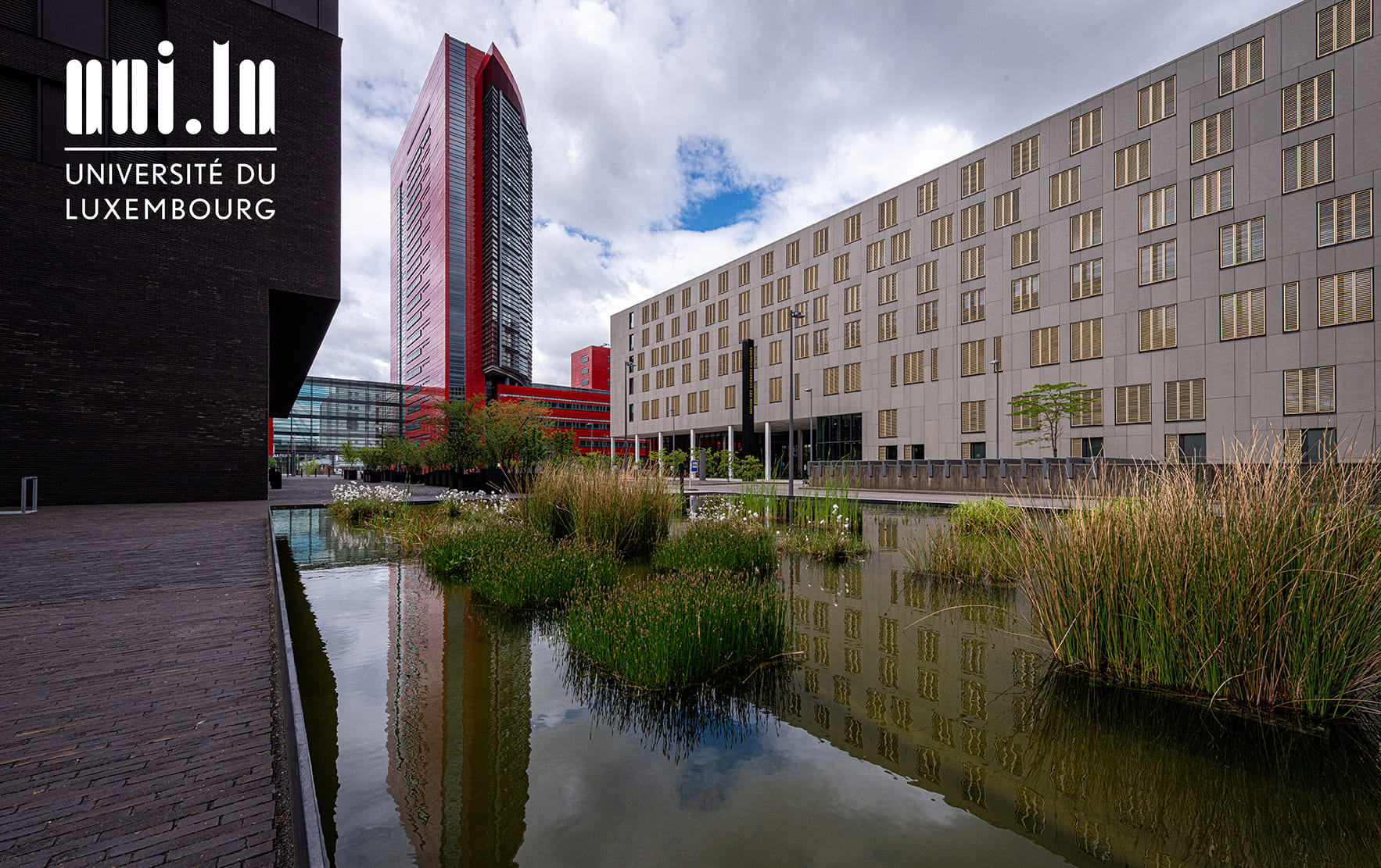 Luiss e University of Luxembourg avviano un nuovo programma di Double ...