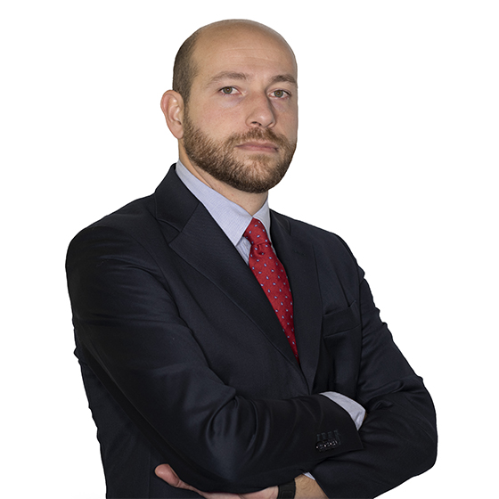 Center for Parliamentary Studies (CESP)