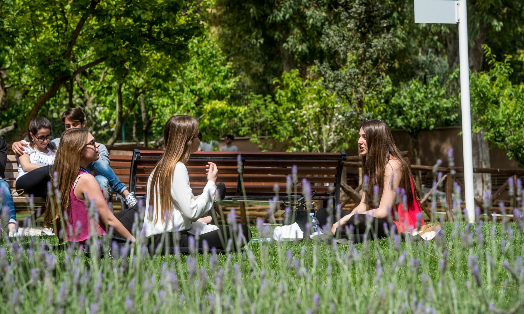 Undergraduate School | Luiss